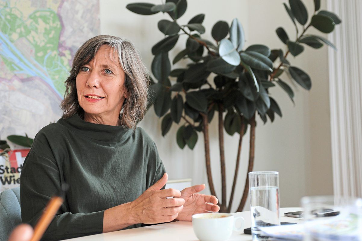 Birgit Hebein: "Der nächste Bürgermeister heißt Michael Ludwig" - Wien ...
