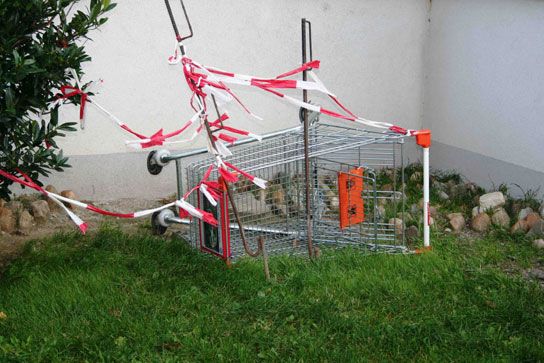 Ansichtssache: Einkaufswagerl auf Abwegen - Wien - derStandard.at ...