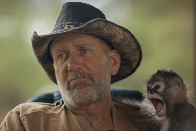 Der Wahnsinn geht weiter: Der "Tiger King" ist wieder da - Serien ...