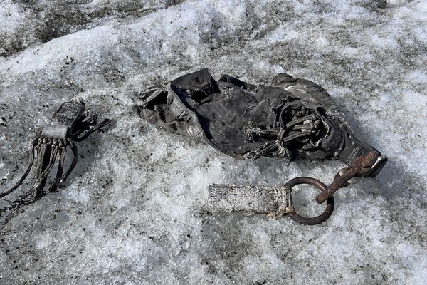 Wissenschaft - derStandard.at