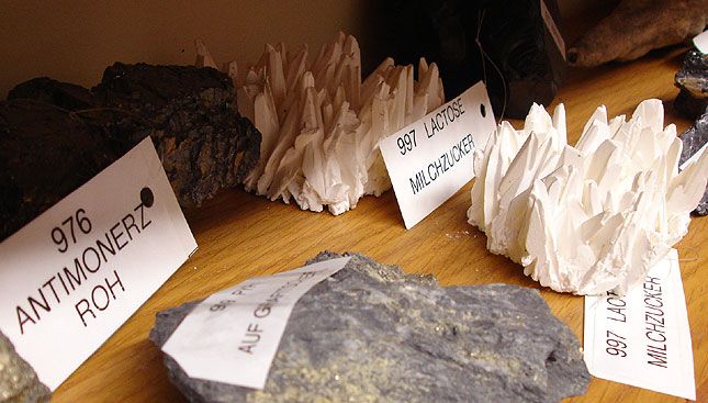 Von Pflanzen und Drogen - Wien - derStandard.at › Panorama