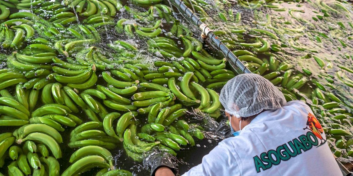 Fairer Handel wächst in Österreich trotz hoher Inflation - Handel ...