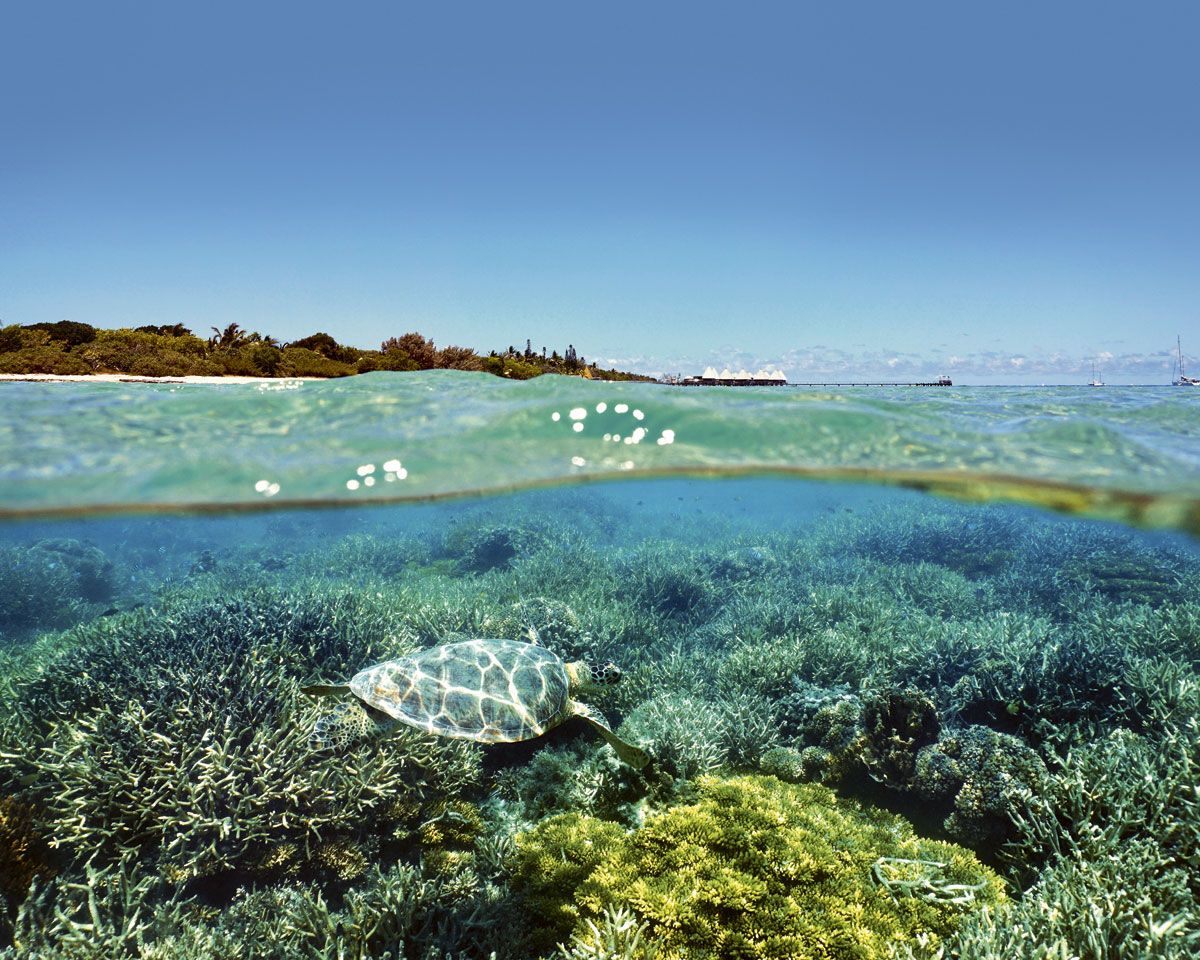 Neukaledonien: Schönes, fremdartiges Südsee-Paradies - Reisen ...
