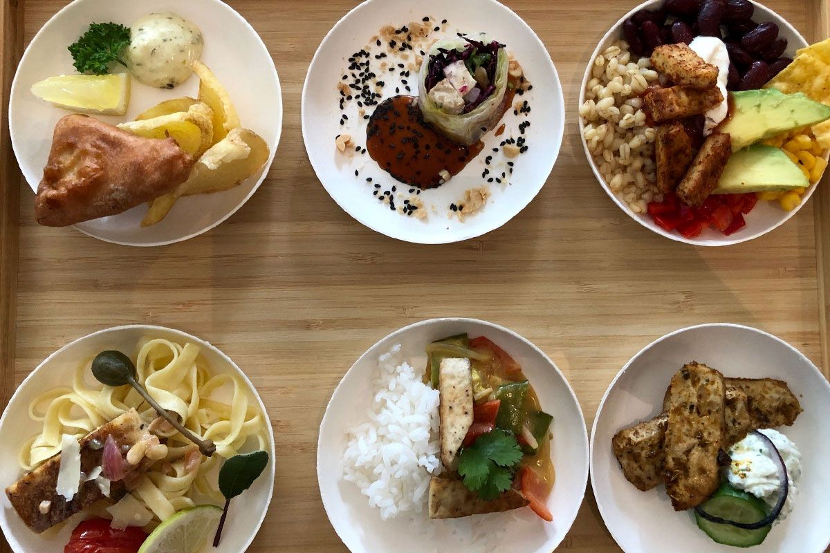 Neuburger startet mit dem "Hermann Bio Fungi Pad" vegetarisch neu durch ...