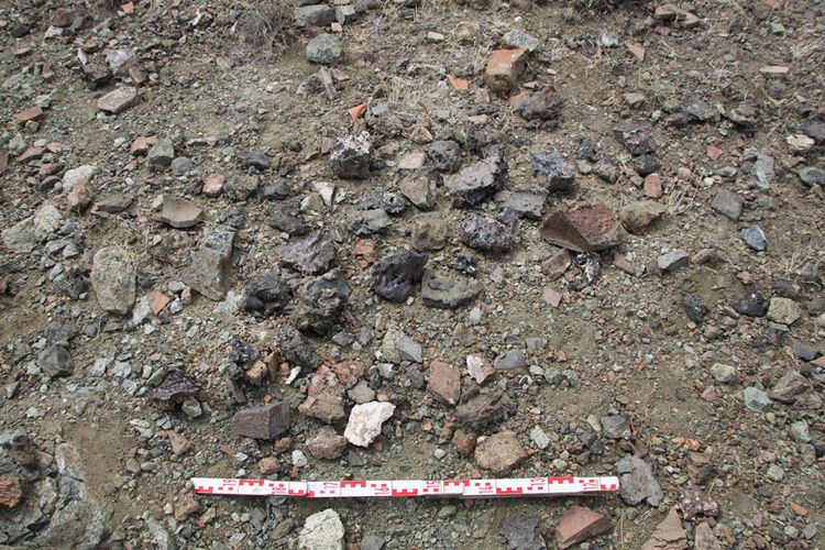 Das Jagdglück des Marcus Calpurnius Longus in den Bergen von Kibyra ...