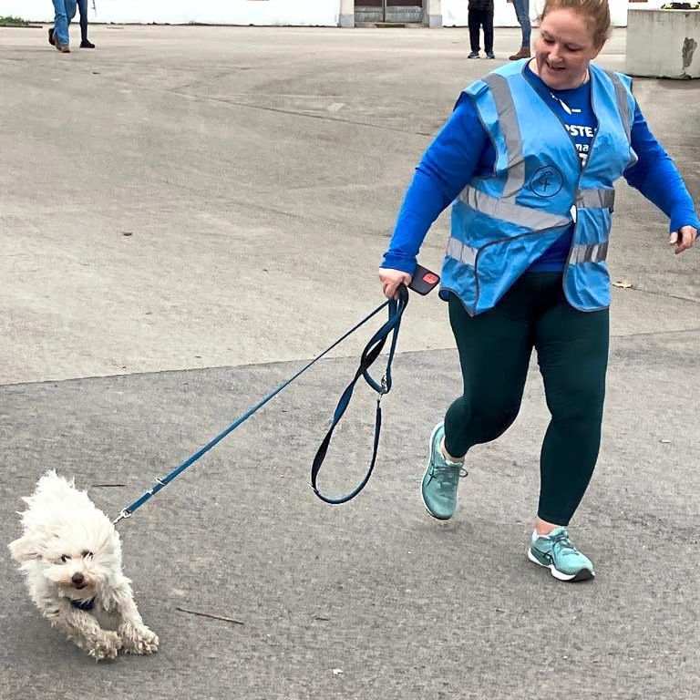 Wieso es beim Wien-Marathon nun Schlussläuferinnen und Schlussläufer ...