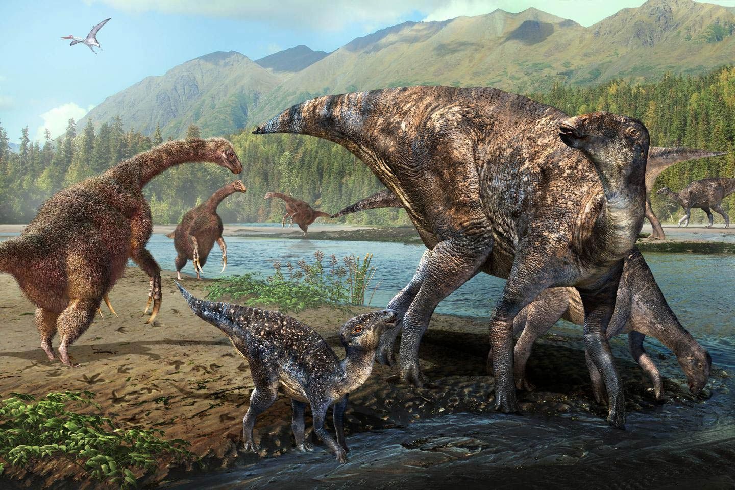 Die seltsamsten Einwanderer auf dem Highway der Dinosaurier - Natur ...