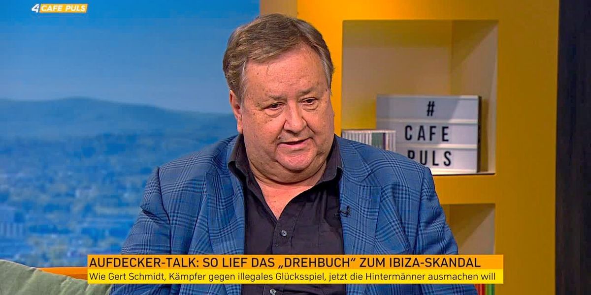 Ein Ex-Rapidler, ein fragwürdiger "Ibiza"-Akteur, die Novomatic und ...