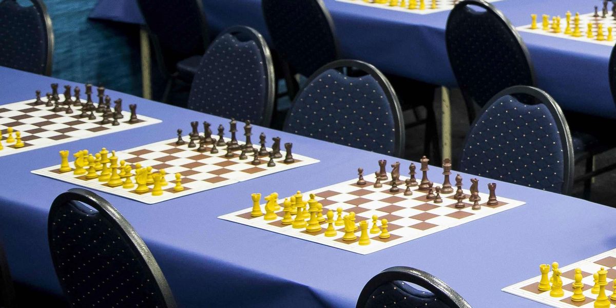 Österreichs Schachsport setzt Zeichen - Schach - derStandard.at › Sport