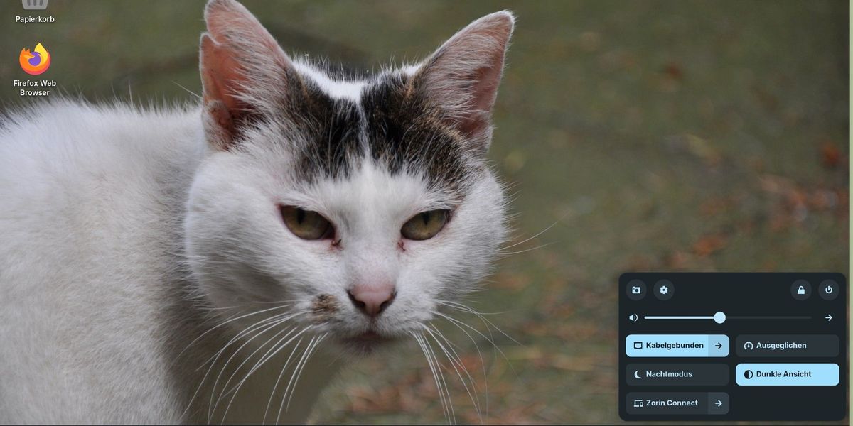 Zorin OS 17 im Test: Nächster Schritt für das "Windows-Linux ...