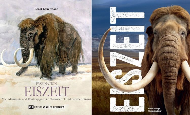 Doppelte Faszination der Eiszeit: Von Mammuts und ihren Jägern - Blog ...