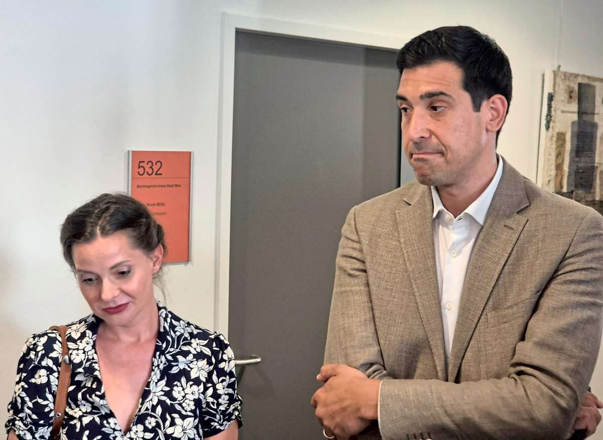 Warum die Bohrn Menas mehr als 250 Klagen eingereicht haben - Inland ...