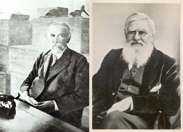 Zoogeografie und mythische Kontinente: Was alte Karten über ihre Macher ...