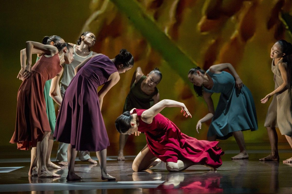 Cloud Gate Dance Theatre: Vom Bestseller zur Choreografie - Tanz ...
