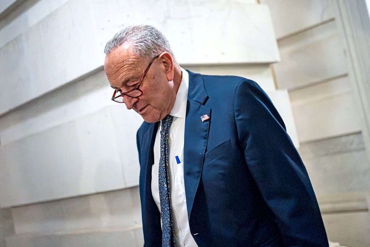 Die US-Demokraten haben sich als Oppositionspartei überflüssig gemacht ...