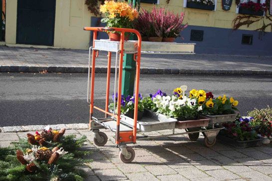 Ansichtssache: Einkaufswagerl auf Abwegen - Wien - derStandard.at ...