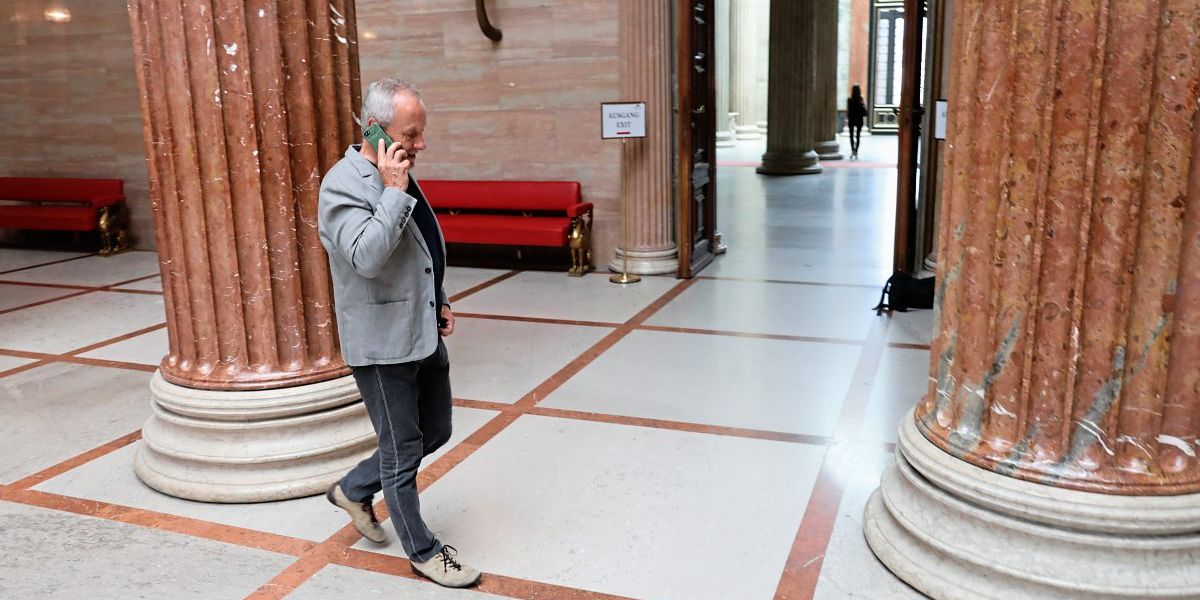 Pilz-Liste: "Peter, lass es, das ist keine gute Idee" - Grüne ...