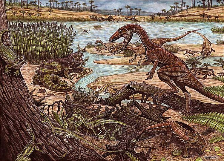 Lagerpetidae: Die kaum bekannten Cousins der Dinosaurier ...