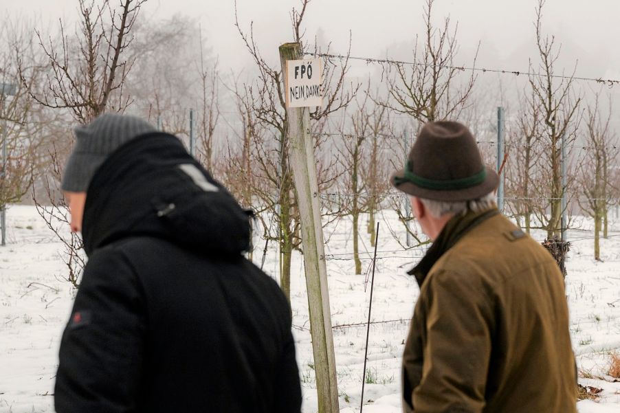 “Keine Ersatz-CSI”: U-Ausschuss auf Spurensuche im Nebel der Donau – Robert