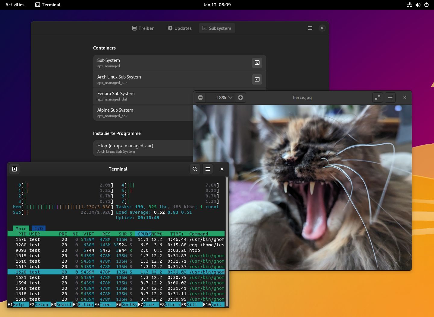 Vanilla OS: Ein frischer Wind für den Linux-Desktop - Innovationen ...