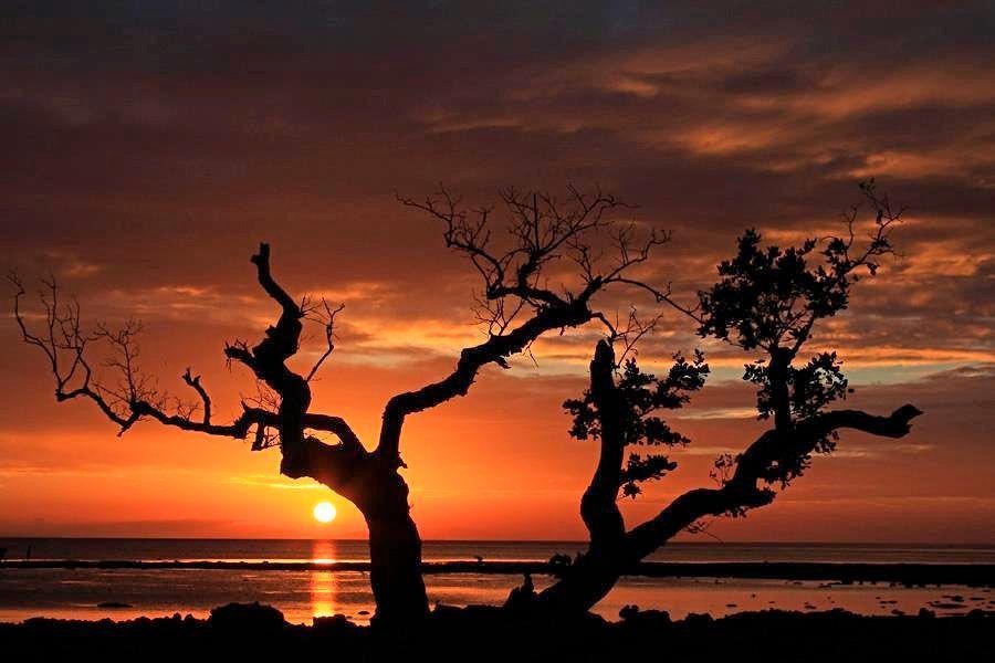 Die schönsten Urlaubsfotos unserer Userinnen und User der Woche ...