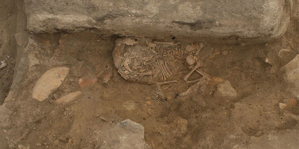 Aisha sophie only fans leaked overall, meeting was