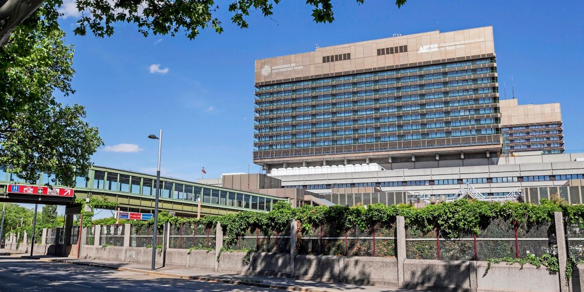 Zweifel an Dienstzeiten von Klinikleiterin im AKH: Ärztin weist ...