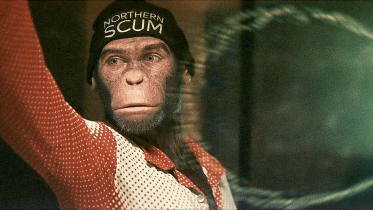 Robbie Williams macht sich in Biopic "Better Man" zum Affen - Musik ...
