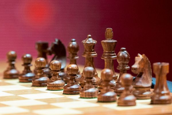 Sport › Schach - derStandard.at