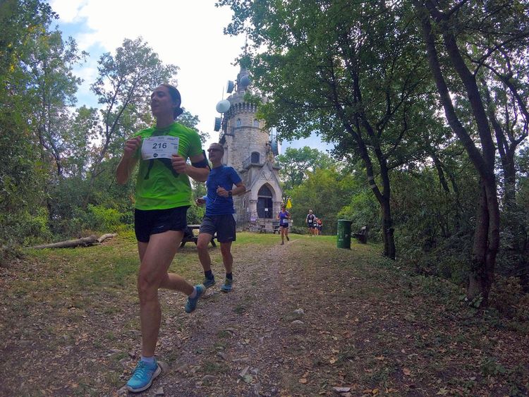 Wiener im Wald: Der Vienna Trail Run - Rotte rennt - derStandard.at ...