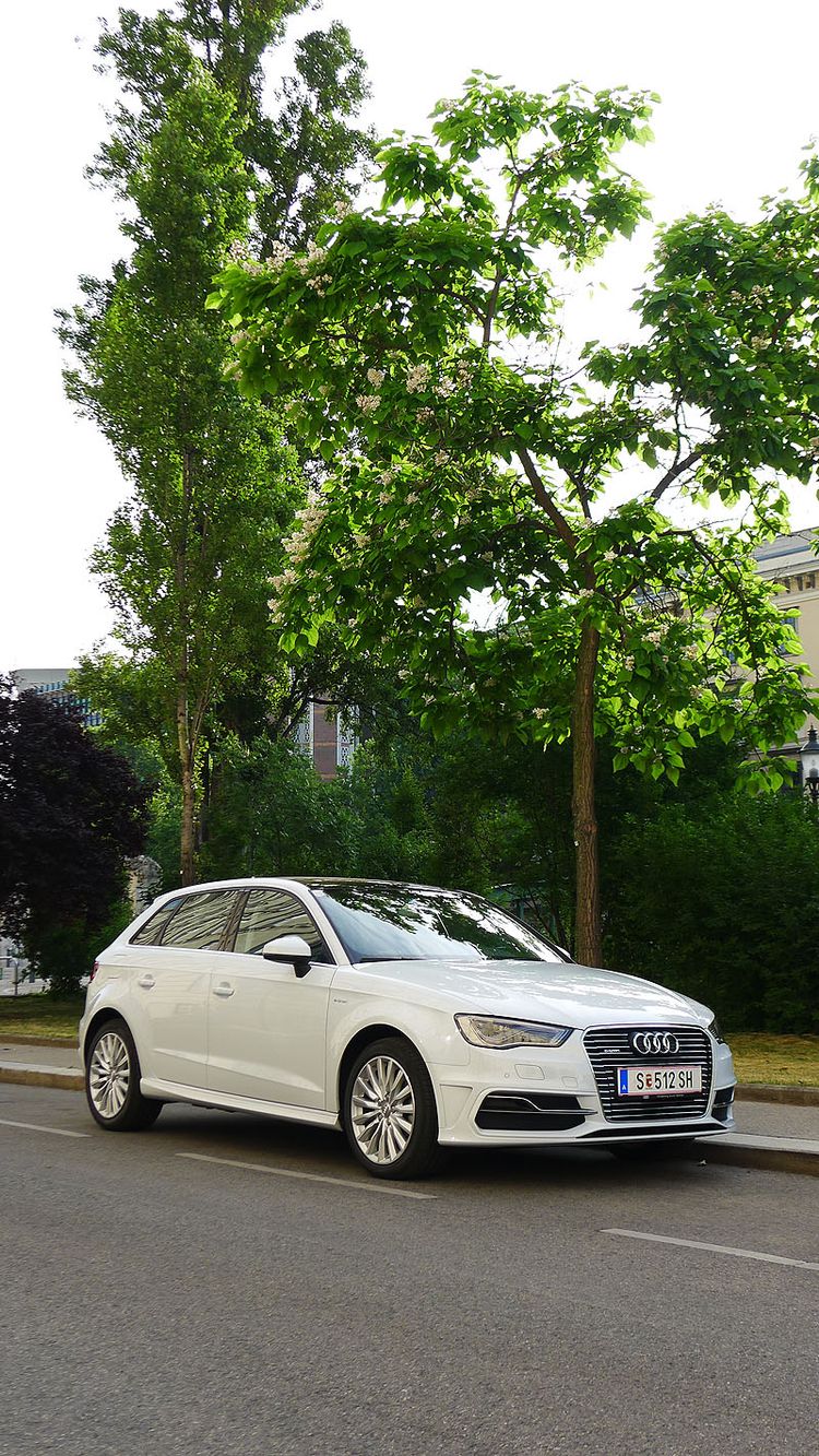 Audi A3 e-tron: Der Typ mit der weißen Weste - Auto - derStandard.at ...