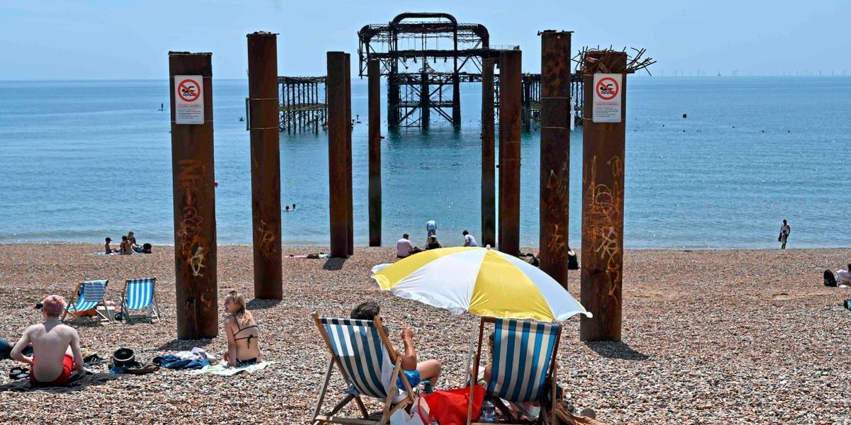 Rachel Cusks Kunst der Alltagsbeobachtung: Von Ehepaaren und Robben ...