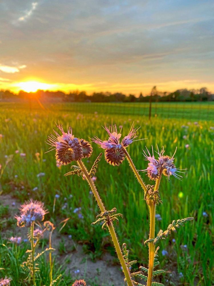 Die schönsten Urlaubsfotos unserer Userinnen und User der Woche ...