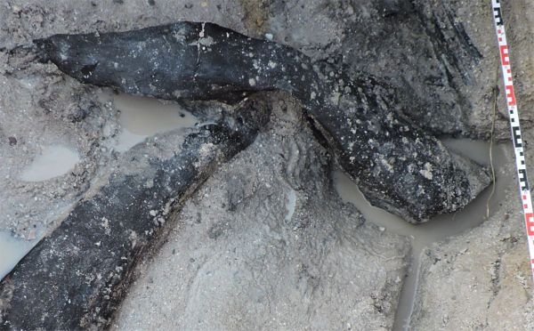 Älteste Holzkonstruktion der Geschichte entdeckt - Archäologie ...
