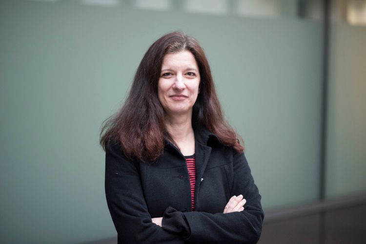 Der Tod in Wien - Wien - derStandard.at › Panorama