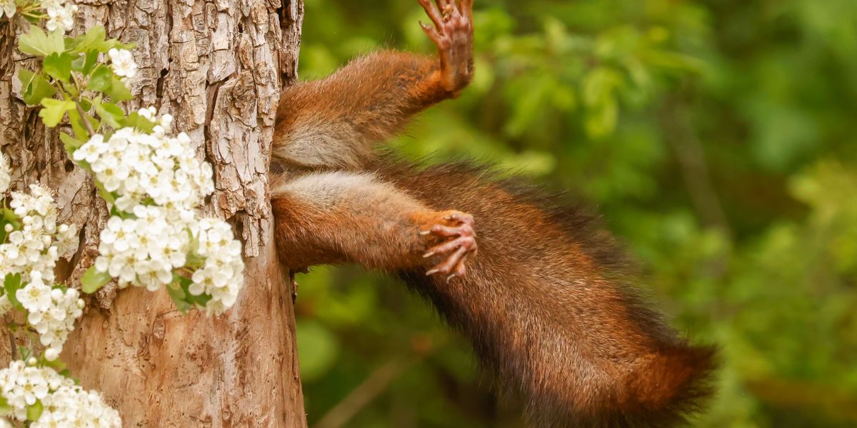 Das sind die lustigsten Tierfotos der Welt - Reisen aktuell ...