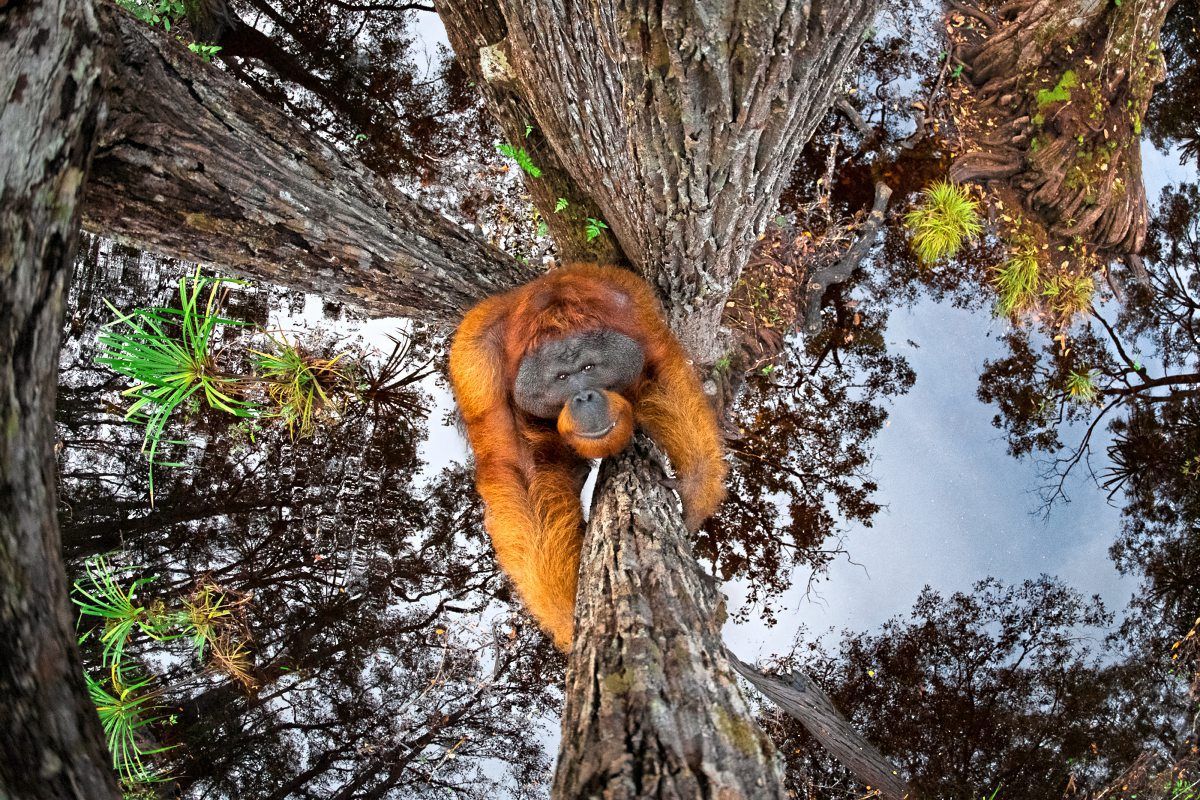 Die schönsten Naturfotos aus aller Welt - Reisen aktuell - derStandard ...