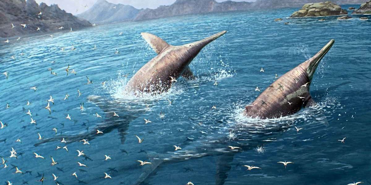 Wenn Kinder Fossilien entdecken - Zukunft - derStandard.de › Wissen und ...