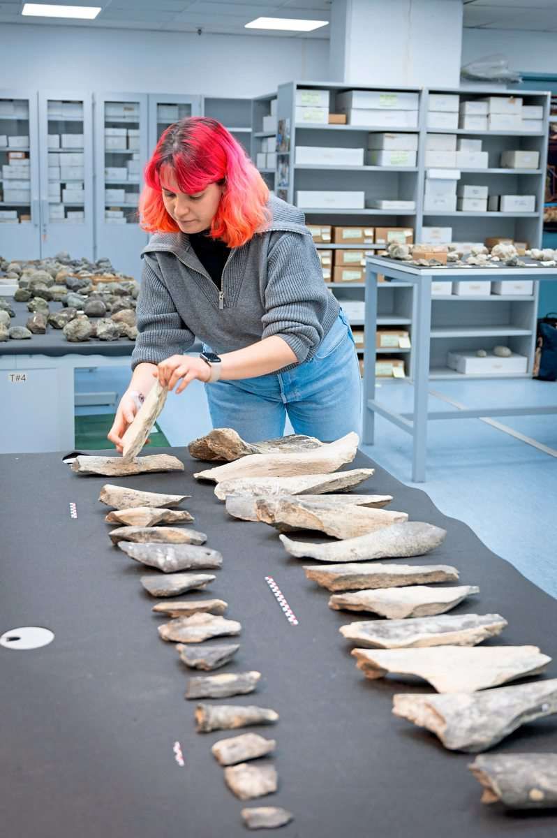 Werkzeuge aus Knochen in Serienproduktion sind viel älter als gedacht ...