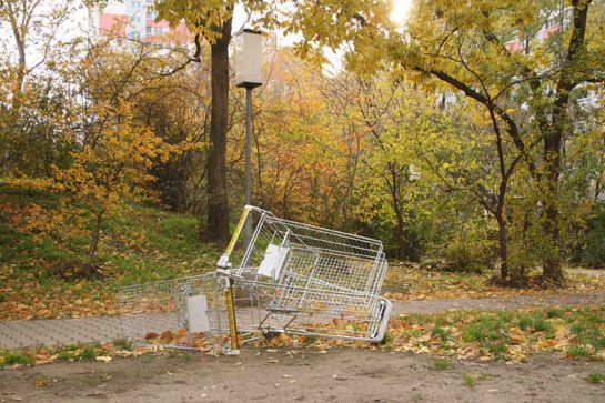Ansichtssache: Einkaufswagerl auf Abwegen - Wien - derStandard.at ...