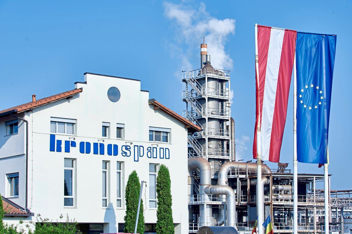 Die undurchsichtige Struktur hinter einem der wichtigsten Holzkonzerne Österreichs - Unternehmen ...