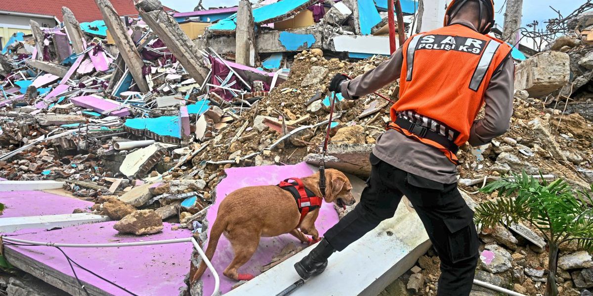 Zahl der Todesopfer nach Erdbeben auf Sulawesi gestiegen - Weltchronik ... Zahl der Todesopfer nach Erdbeben auf Sulawesi gestiegen - Weltchronik ...