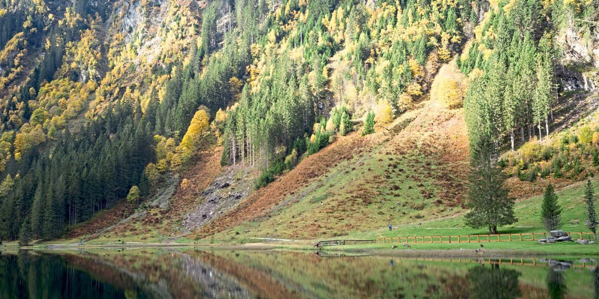 Die schönsten Herbstfotos der STANDARD-Community, Teil 2 - Diskurs ...