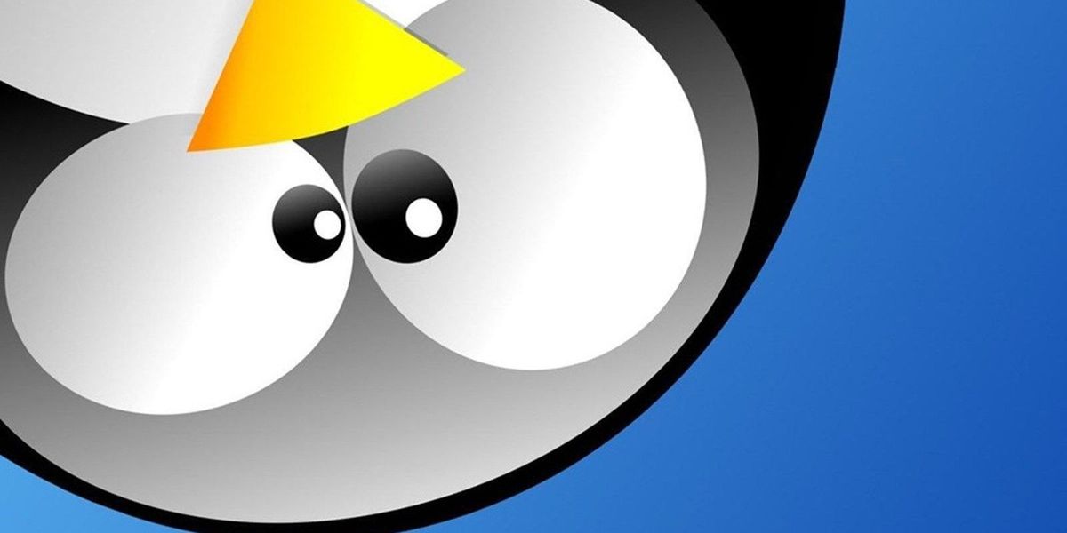 Kritische Lücke gefährdet fast alle Linux-Systeme, Angriffe laufen ...