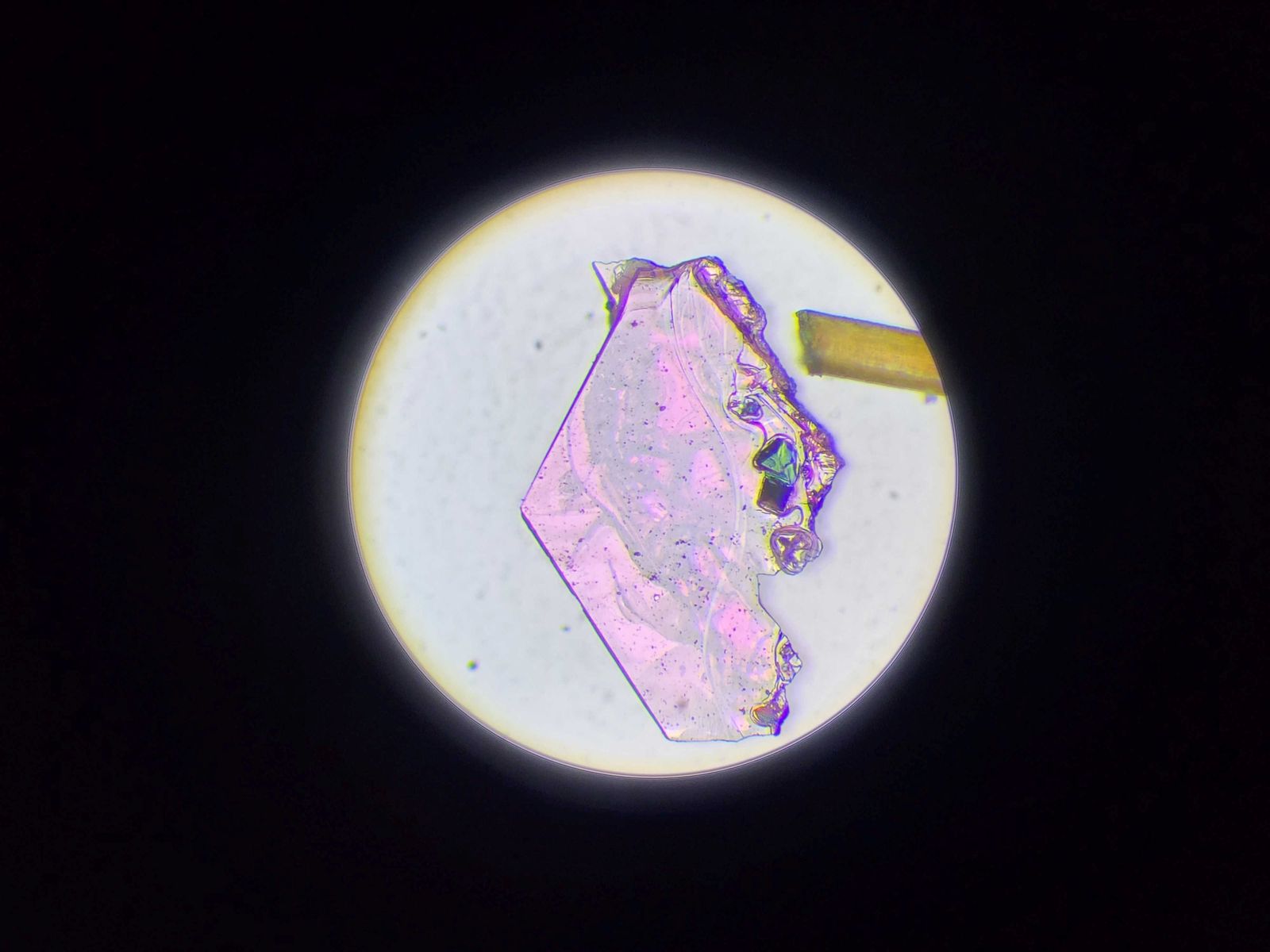 Auf der Spur exotischer Quantenmaterie - Junge-Akademie-Blog ...