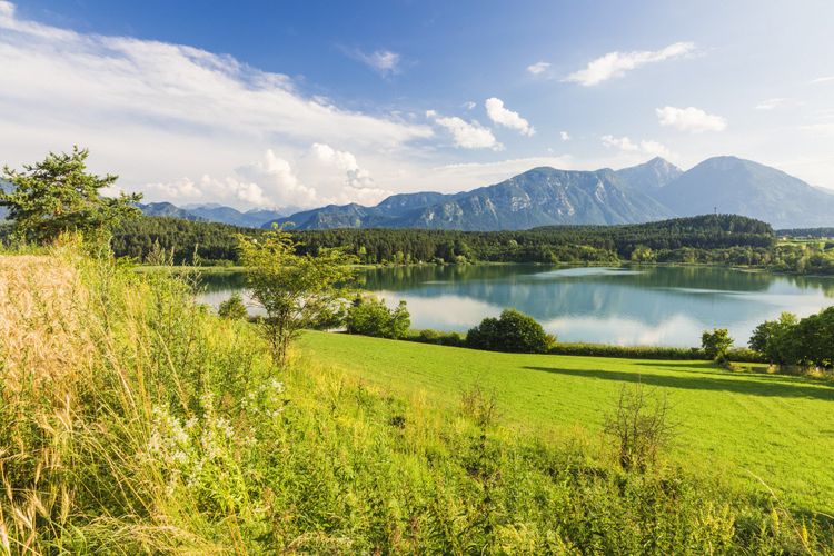 Am Turnersee lichtet sich der NS-Nebel - Österreich - derStandard.de ...