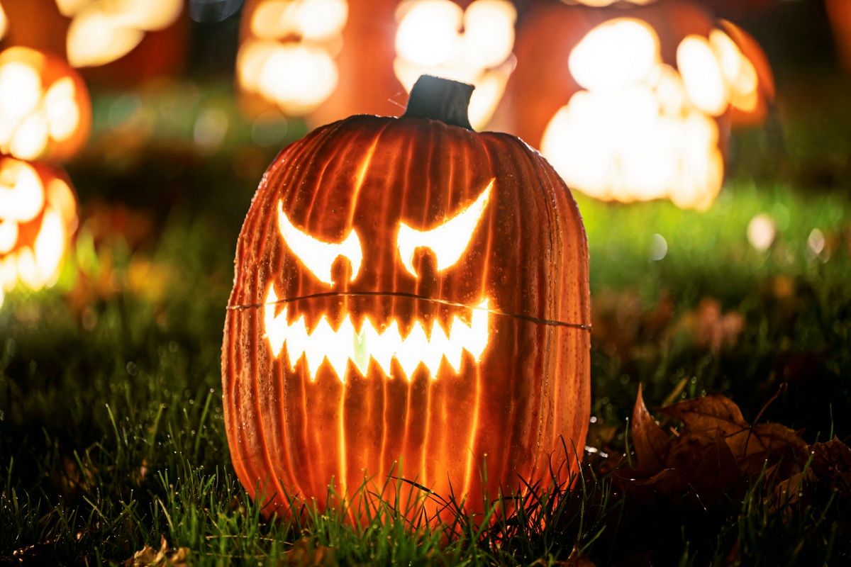 Sexualprozess um "One-Night-Stand" nach Halloweenparty ...