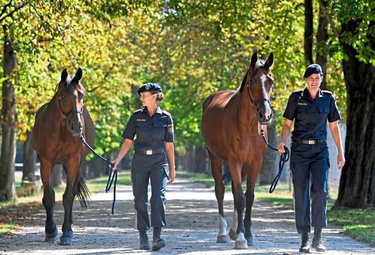 Berittene Polizei: Ausbildungsstart mit zehn Pferden und 19 Reitern ...