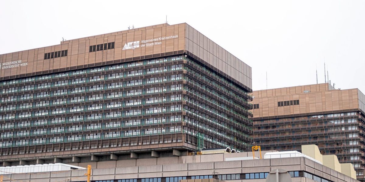 Vienna General Hospital restricts operations to emergencies ...