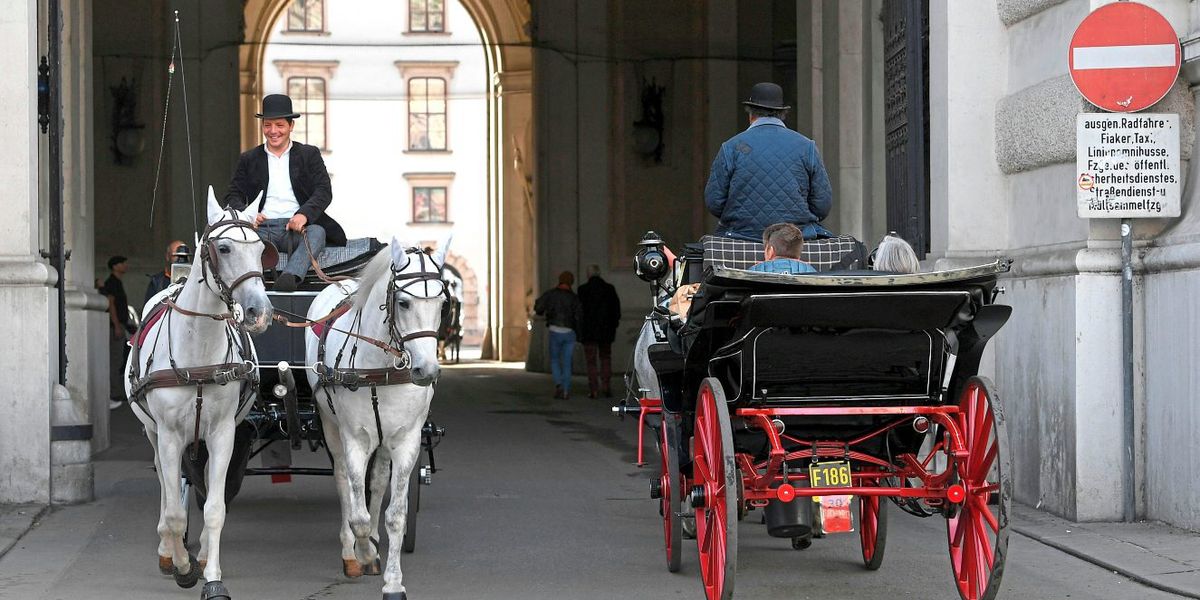 Fiaker in Wien: Eine erhaltenswerte Tradition? - Wien - derStandard.at ...